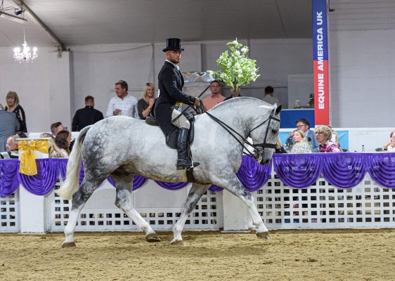 9 top show cobs snapped during the 2021 show season - Horse & Hound