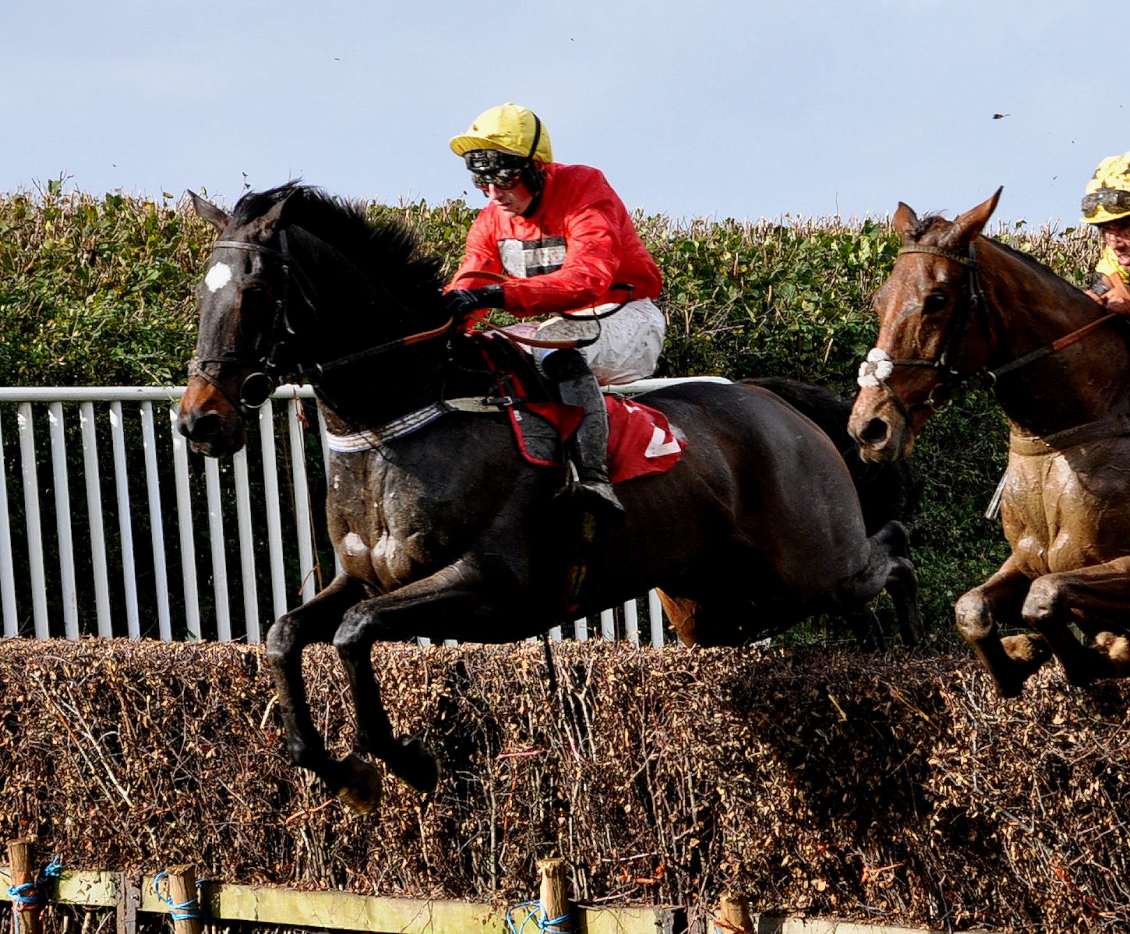 Gibbs gets off to a flying start on the first day of the new point-to ...