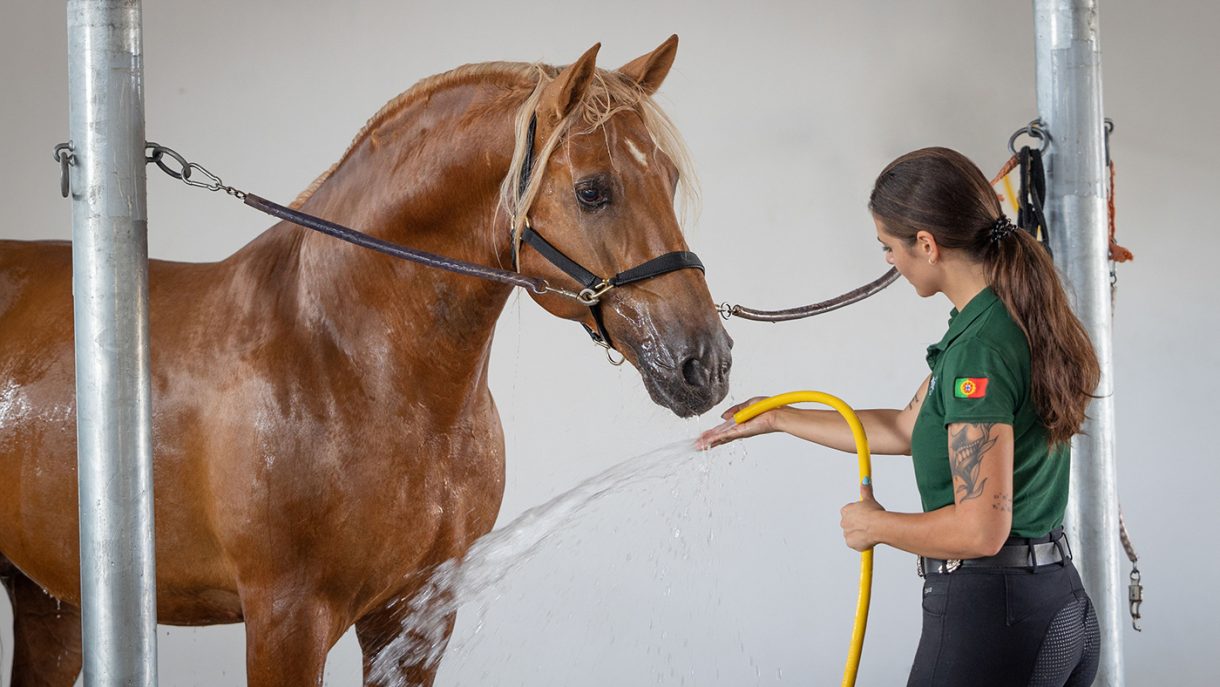 Shayne Allise Steyteyieh: the Jordanian rider aiming to make history