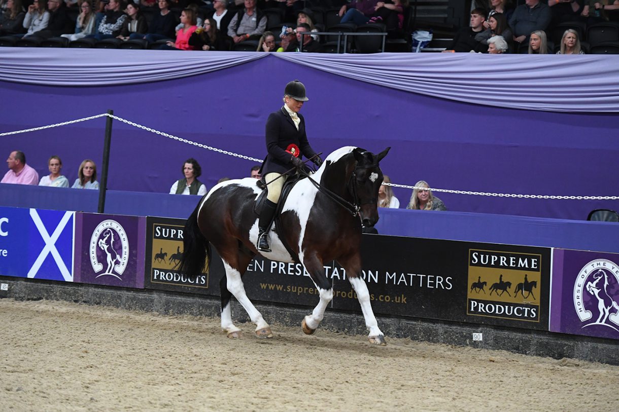 9 top show cobs snapped during the 2021 show season - Horse & Hound