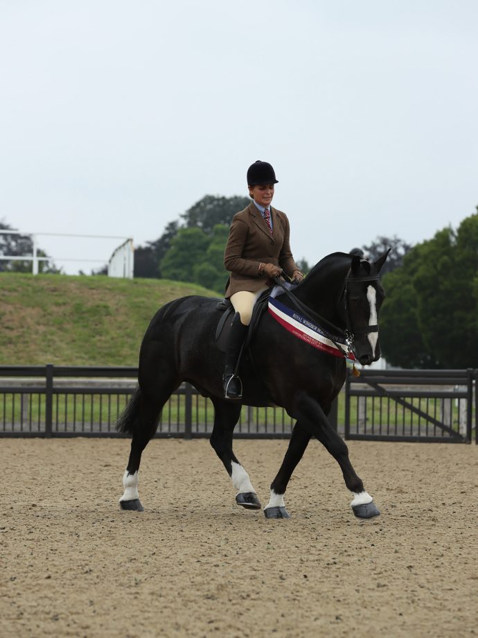 9 top show cobs snapped during the 2021 show season - Horse & Hound