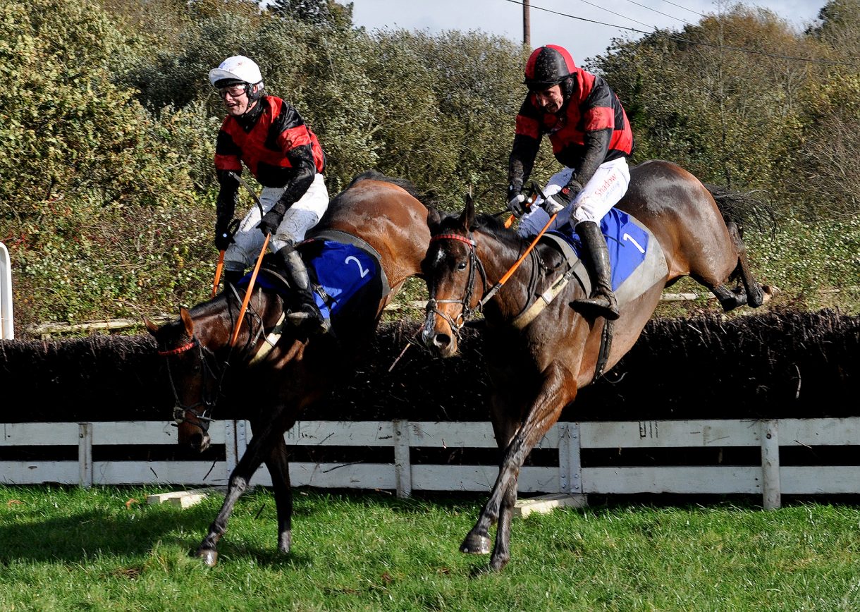 Point-to-point racing: what you need to know to ensure a great day out