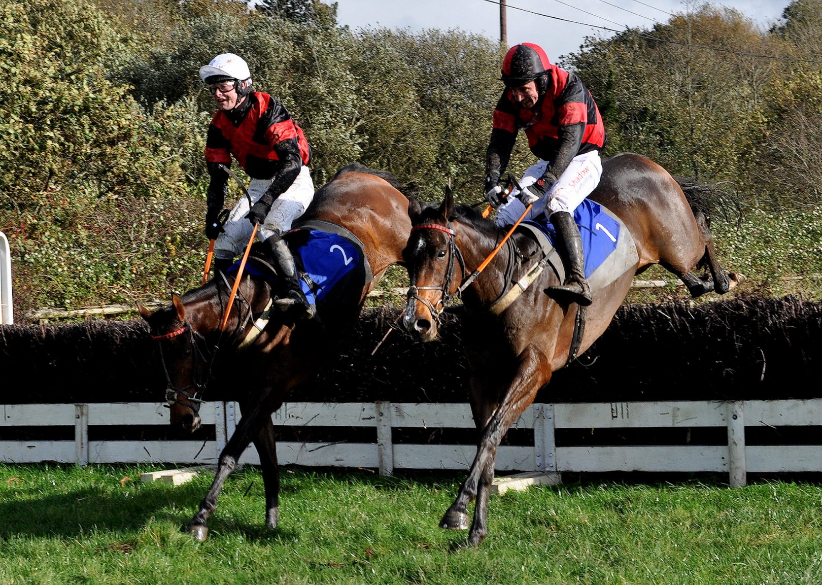 Point-to-point racing: what you need to know to ensure a great day out