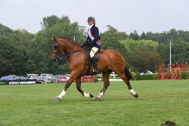 9 top show cobs snapped during the 2021 show season - Horse & Hound