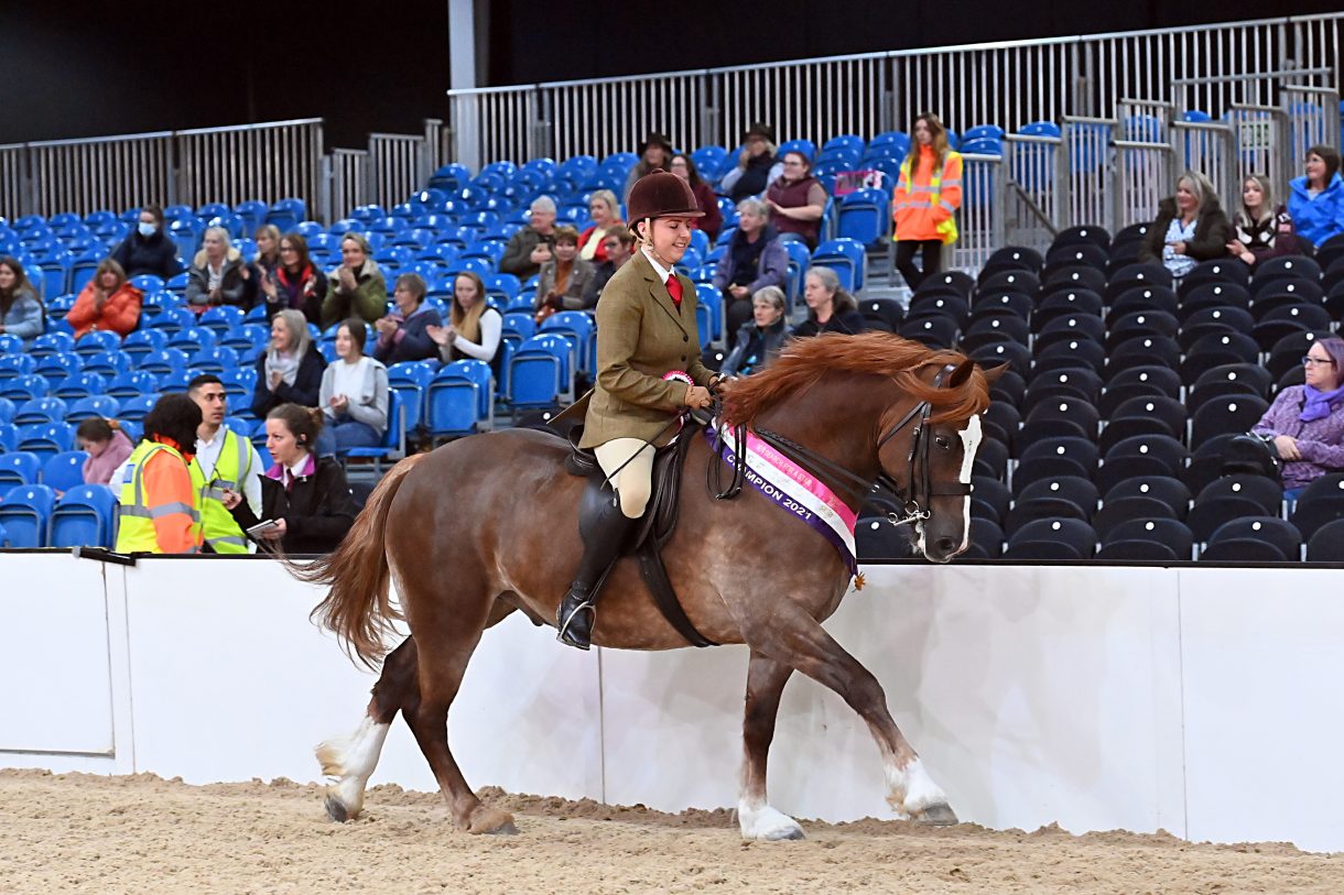 Vicki Casey — ‘Making an owner’s dream come true is why I do it’