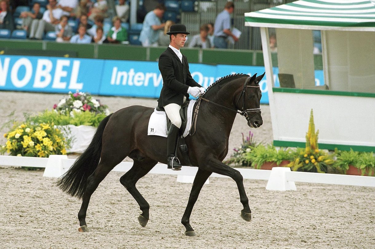 Sandro Hit tops sire rankings for the first time - Horse & Hound