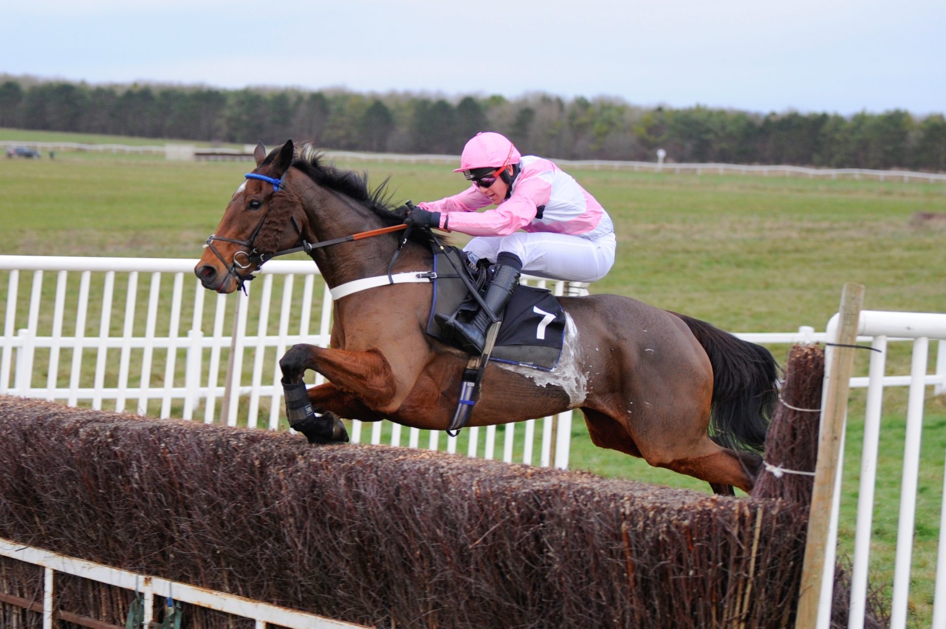 ‘It makes all the early mornings worth it’: jockey breaks his duck ...