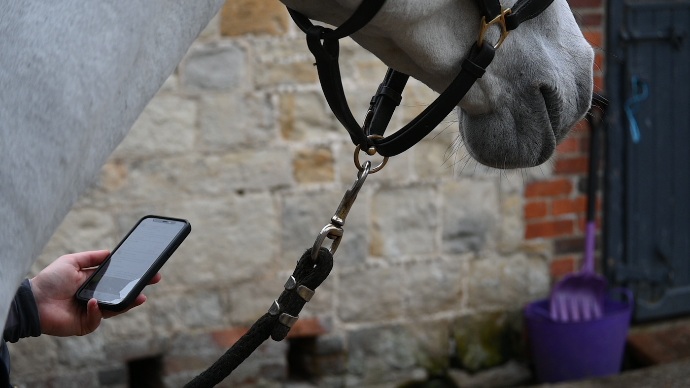 *Opinion* Adam Cromarty on why horse riders need to utilise social media