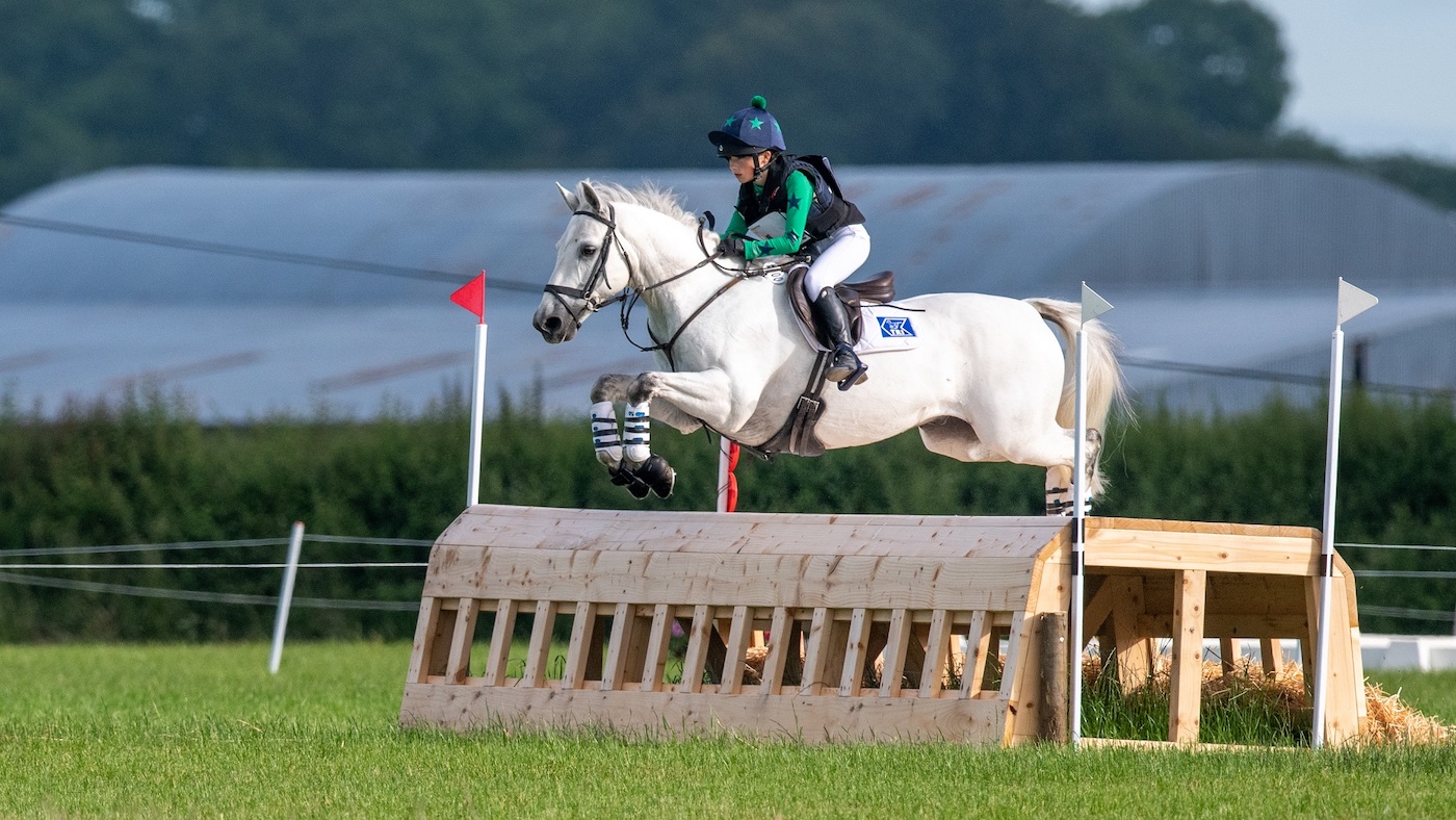 Cheltenham to turn yellow for launch of Tiggy’s Trust