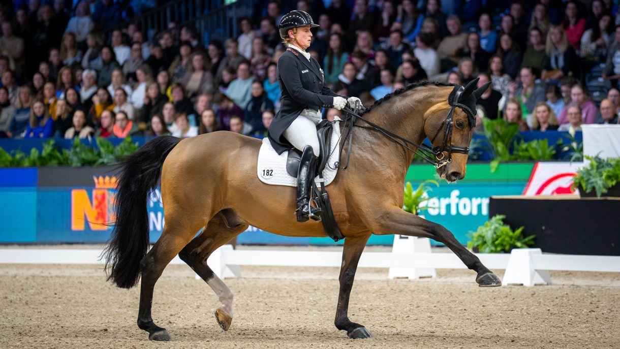 The best dressage horses in the world right now – check out the top 10