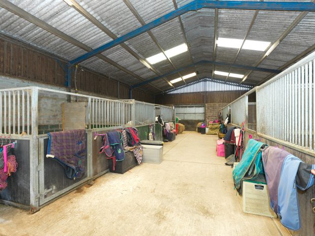 Buy your dream yard — with 12 indoor stables, floodlit school, 18 ...