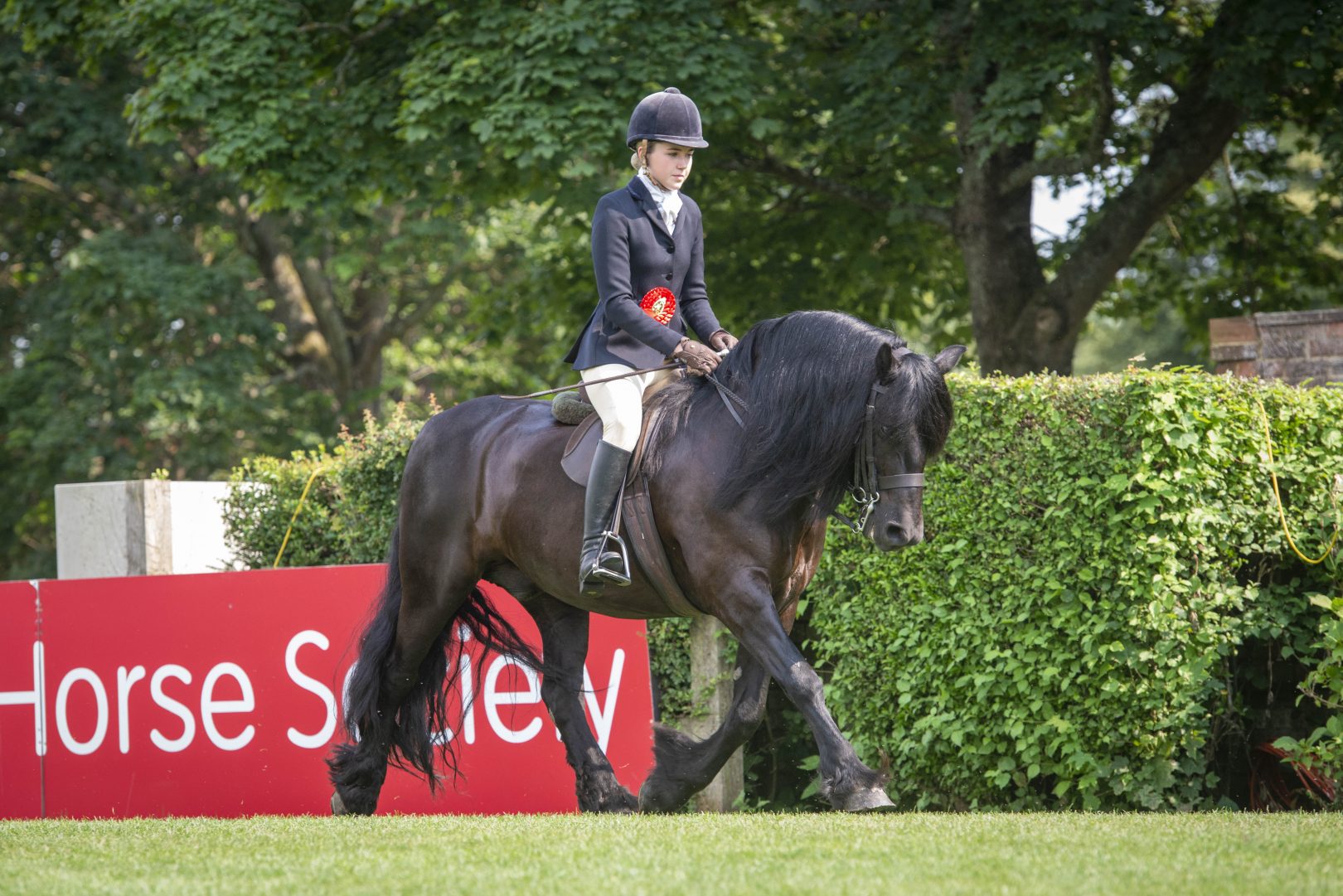 Charlotte Tuck — the show rider juggling A-levels and ponies
