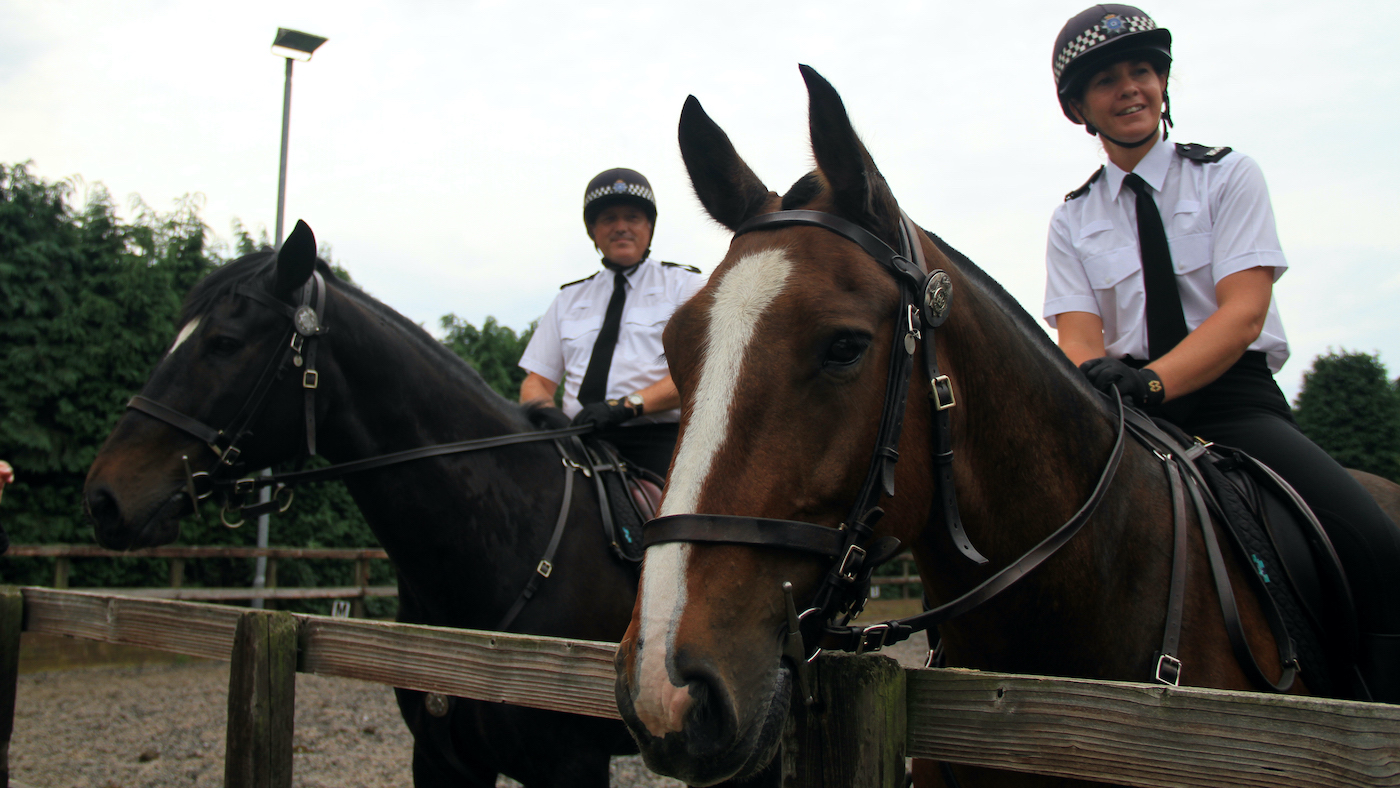 Police horse put down following emergency surgery - Horse & Hound