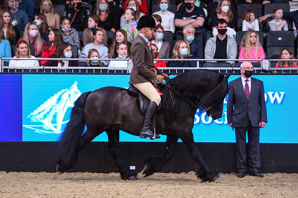 Check out the best of breeds crowned at the London International Horse ...