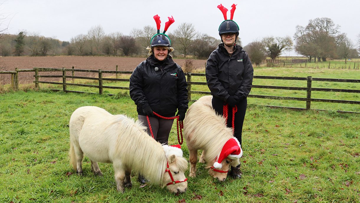 Rescue ponies appear on screen with Alan Titchmarsh - Horse & Hound