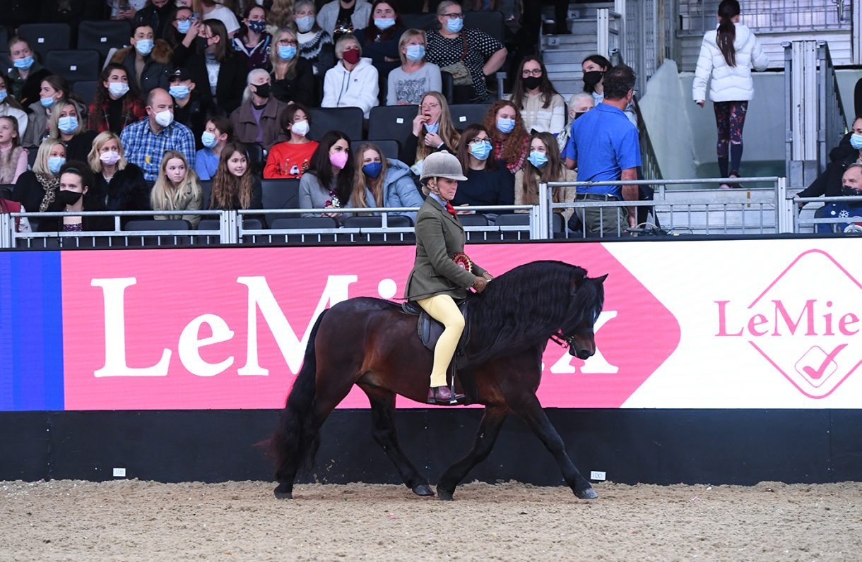 Check out the best of breeds crowned at the London International Horse ...