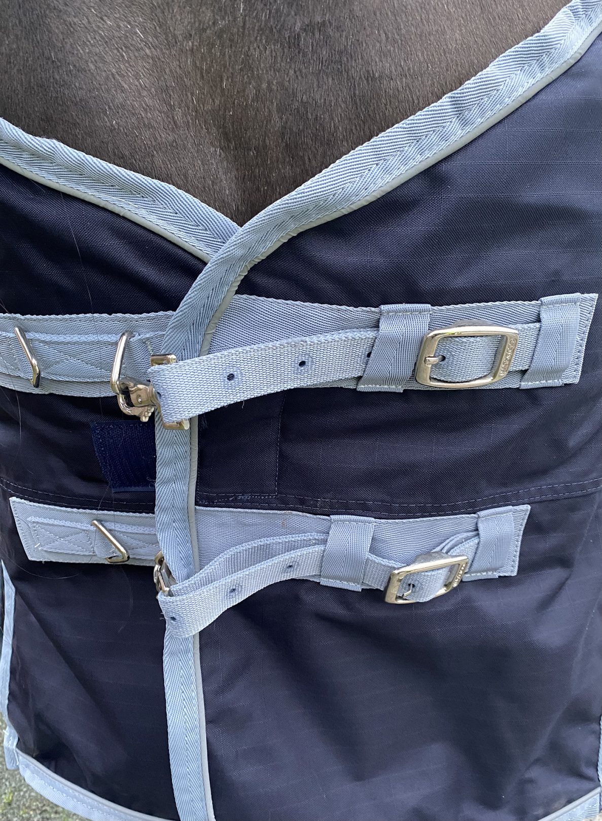 Mark Todd Autumner rug *H&H Approved* review | Horse & Hound