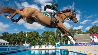 Donald Whitaker is the latest British team hero from the Whitaker dynasty