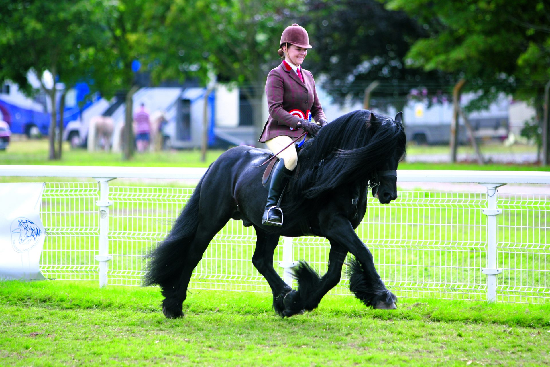 ‘He was some pony’ — Farewell to iconic Fell stallion who made breed ...