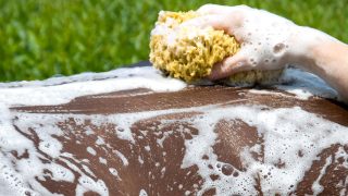 How to bath a horse correctly: a step-by-step guide | Horse & Hound