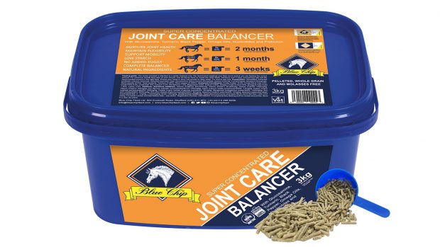Feed balancers for horses – what are the options? | Horse & Hound