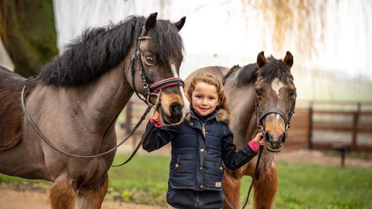 ‘Everyone needs a Bobby’: 35-year-old pony who won eventing last summer ...