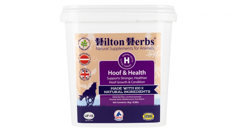 Best hoof supplements for horses: what’s on the market? | Horse & Hound
