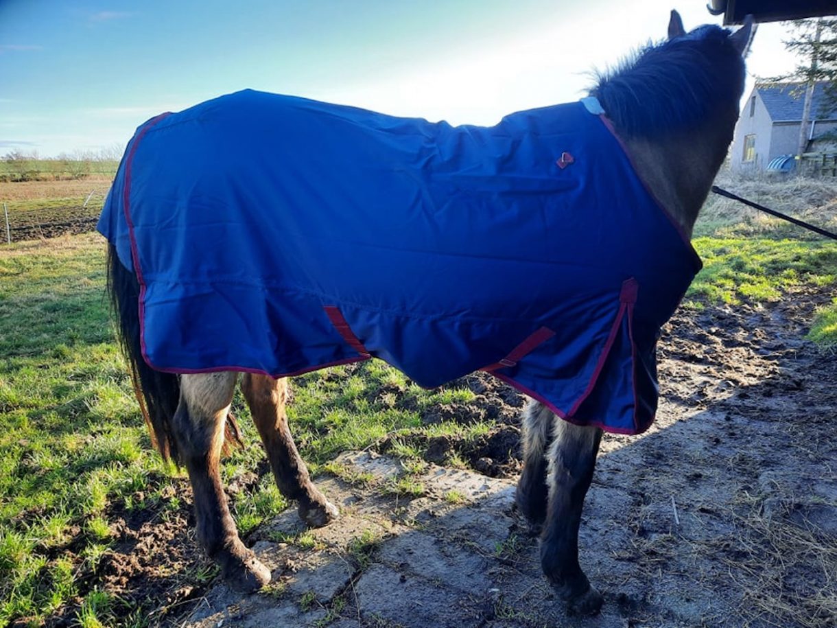 JHL Essential medium weight turnout review | Horse & Hound