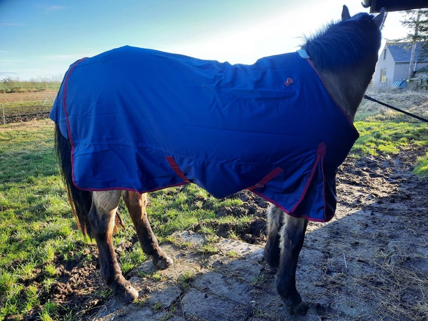 JHL Essential medium weight turnout review | Horse & Hound