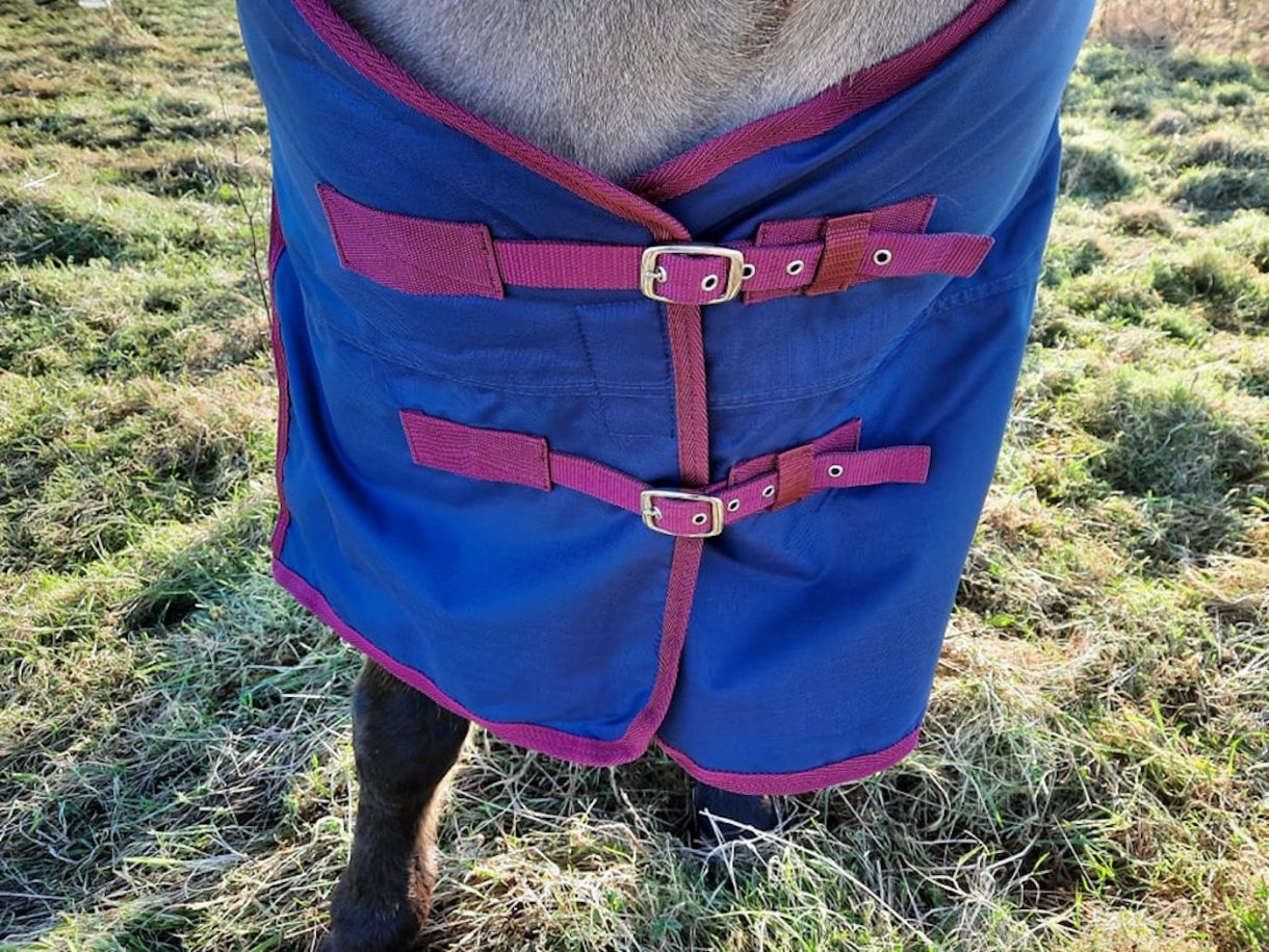 JHL Essential medium weight turnout review | Horse & Hound
