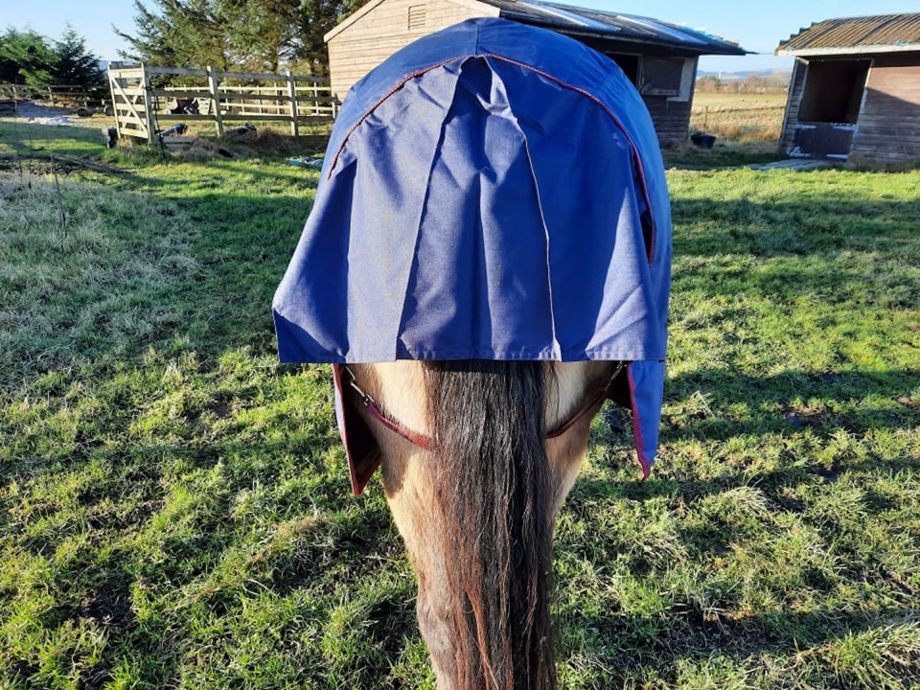 JHL Essential medium weight turnout review | Horse & Hound