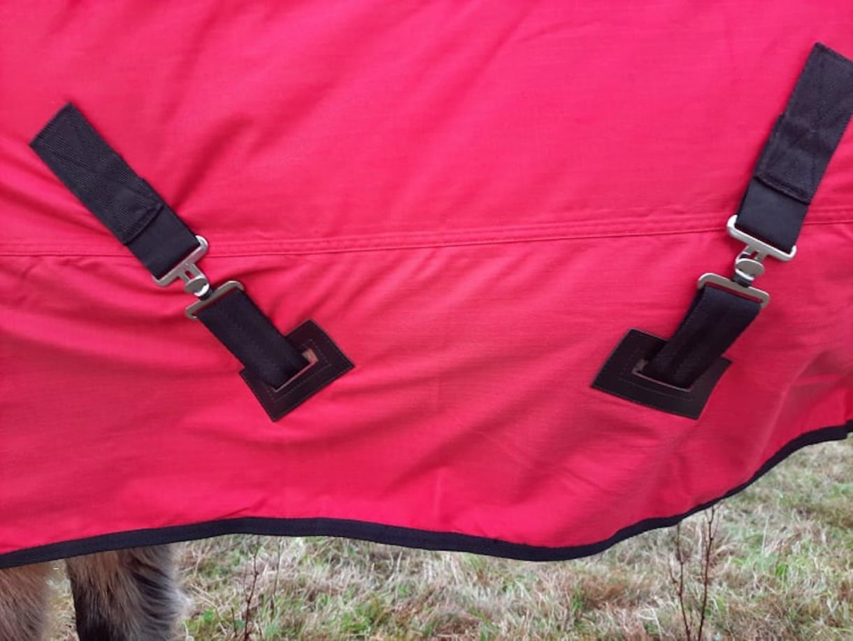 Rhinegold Konig 200g outdoor rug review *H&H Approved* review | Horse ...