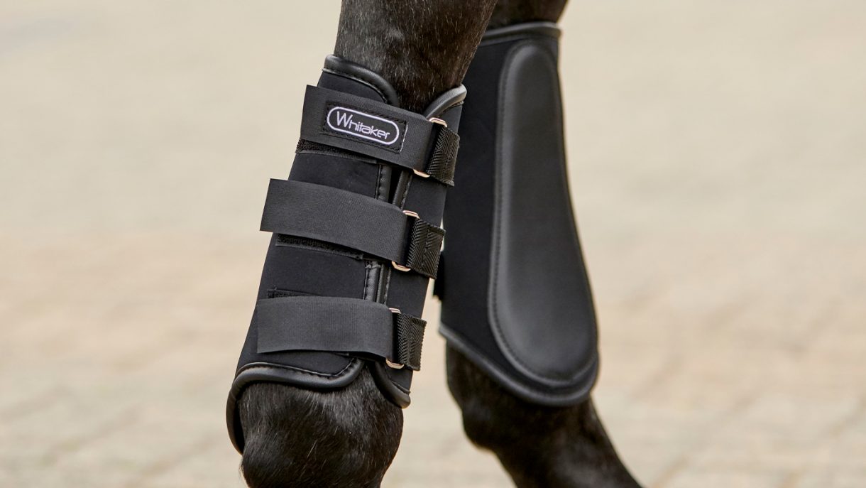 Best brushing boots for all budgets | Horse & Hound