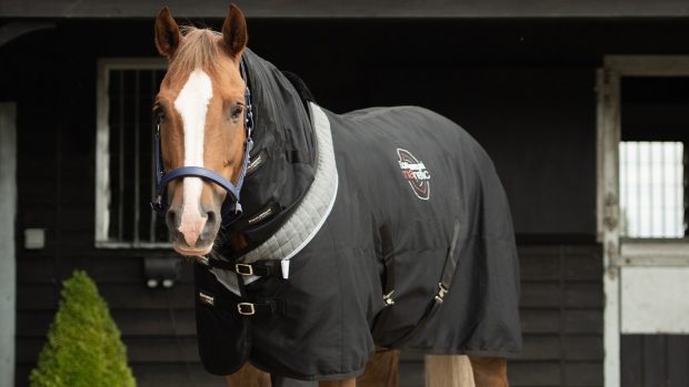 Best magnetic rugs for horses and more | Horse & Hound