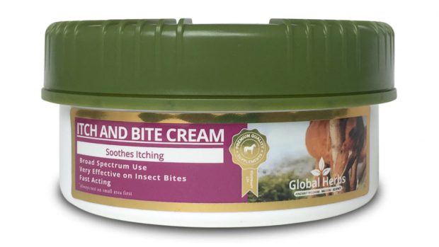 Best fly gels for horses this summer | Horse & Hound