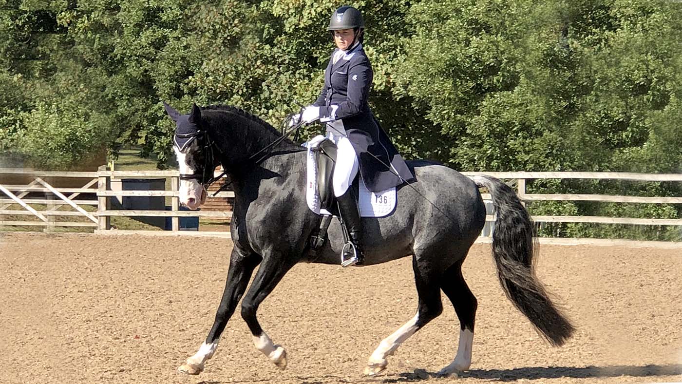 Quantock Pony Sales purchase reaches grand prix dressage