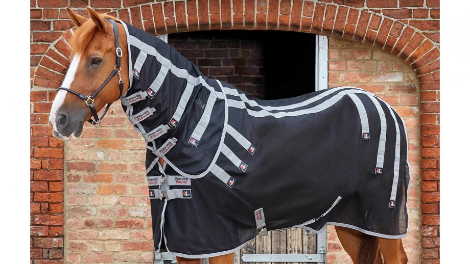 Best magnetic rugs for horses and more | Horse & Hound