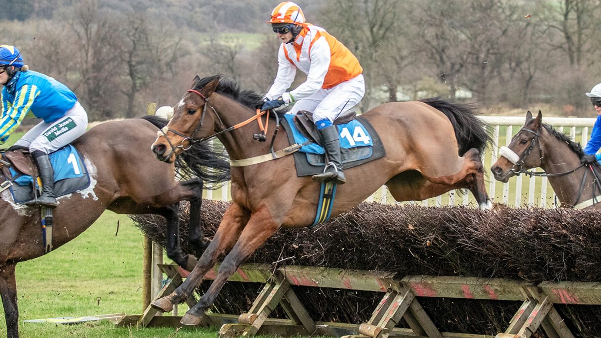 Ellis team continue to dominate and some old campaigners back bounce to ...