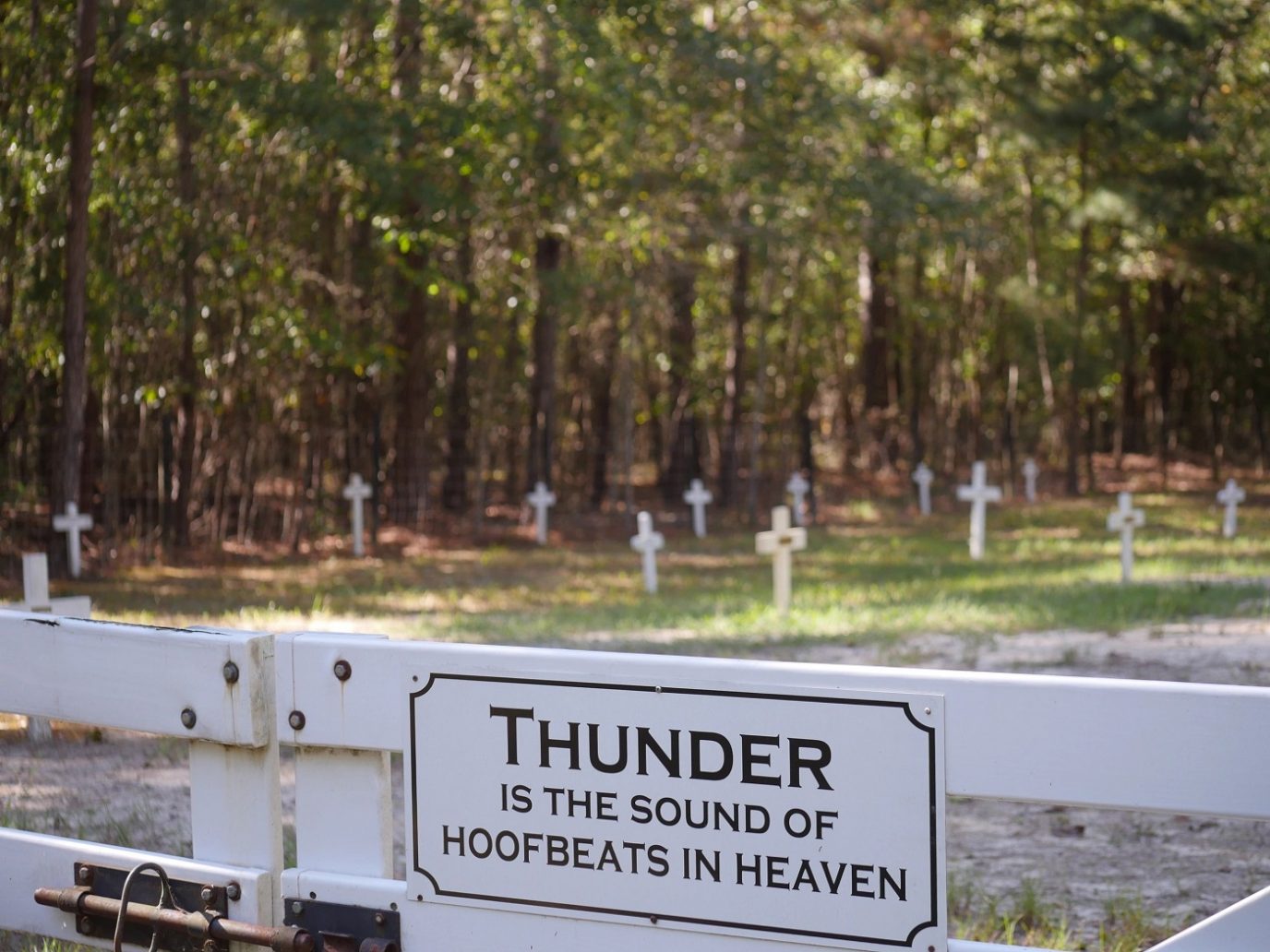 Idle Hour Farm where horses can retire after the Winter Equestrian Festival