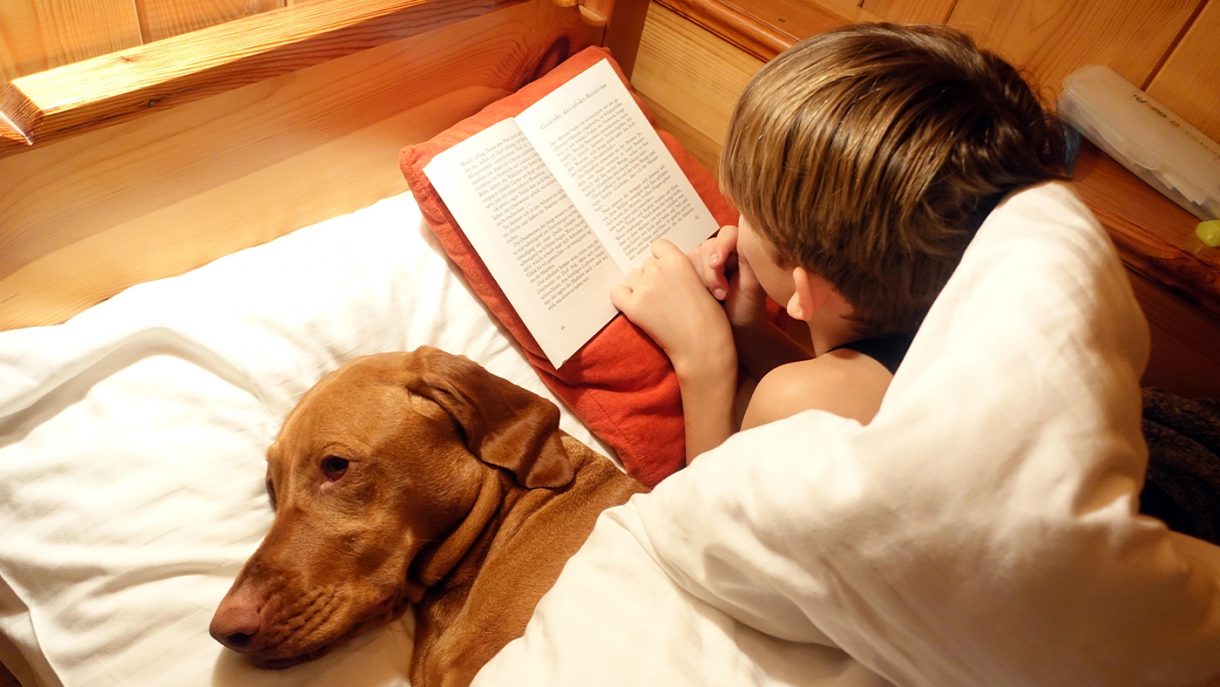 Best horse books for children – stories and facts | Horse & Hound