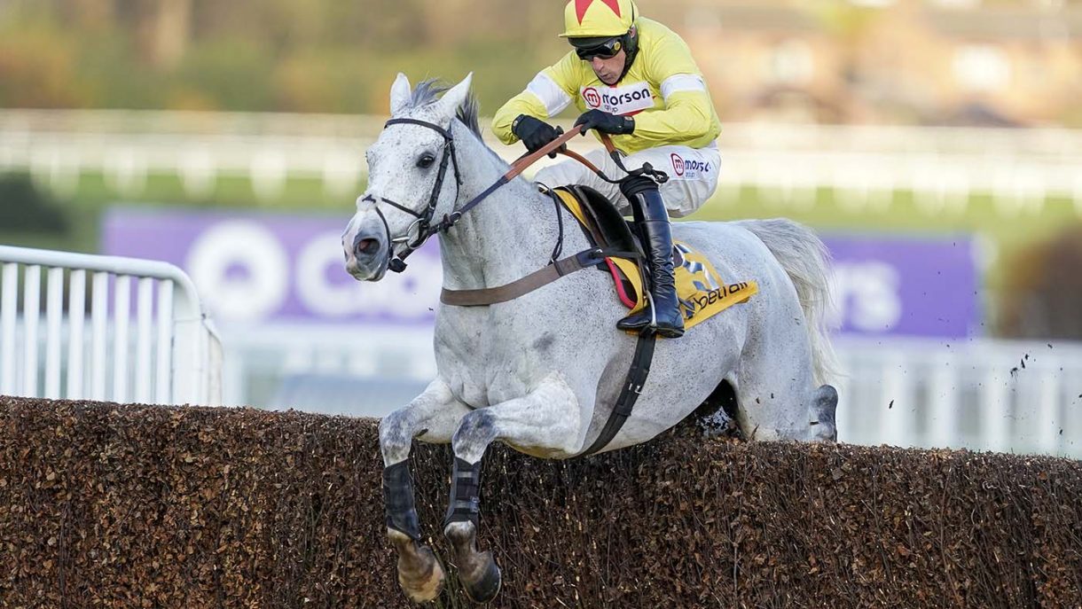 Politologue: find out what the popular grey racehorse is up to now