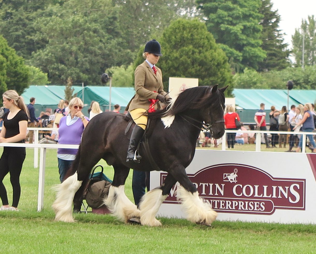 BSPS Heritage supreme ridden final returns to London - Horse & Hound