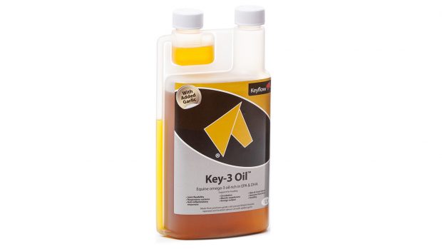 Best oils for horses – what are your options? | Horse & Hound