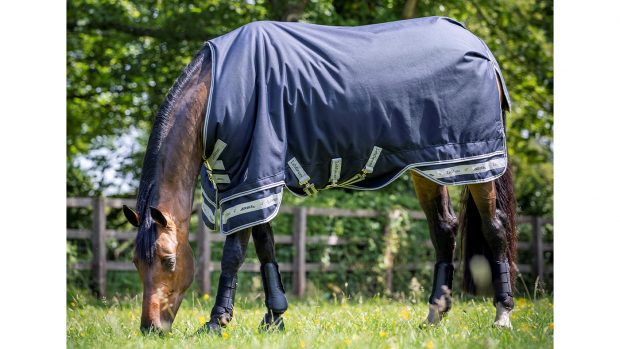 Best rain sheets for horses to protect from showers | Horse & Hound