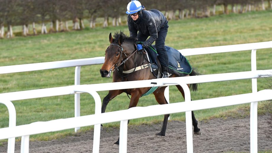 Mark Johnston racing: take a tour round this top Flat yard