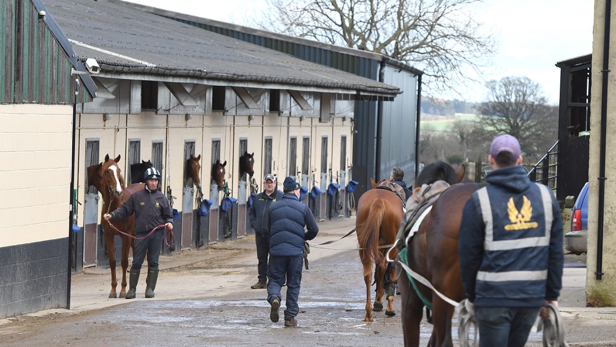 Mark Johnston racing: take a tour round this top Flat yard