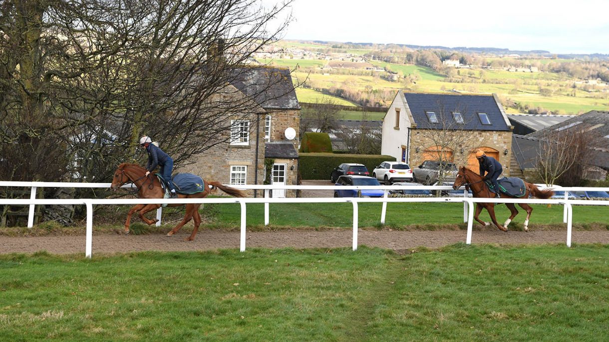 Mark Johnston racing: take a tour round this top Flat yard