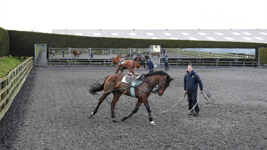 Mark Johnston racing: take a tour round this top Flat yard