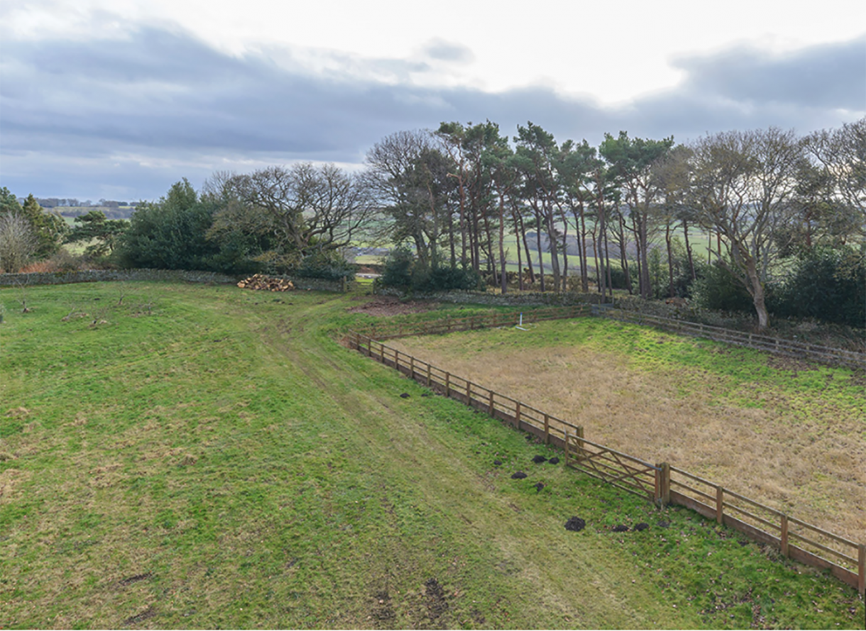 A gorgeous stone farmhouse, with stables, outdoor arena and 250-tree ...