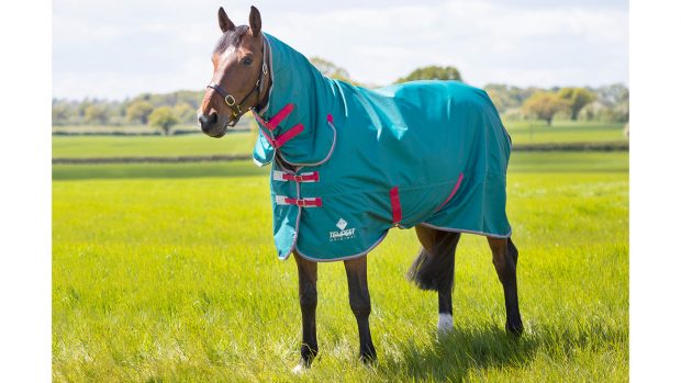 Best rain sheets for horses to protect from showers | Horse & Hound